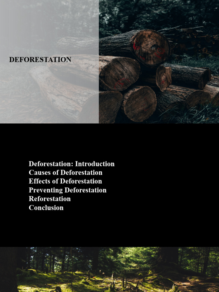 DEFORESTATION-pp Presentation | PDF | Deforestation | Forests