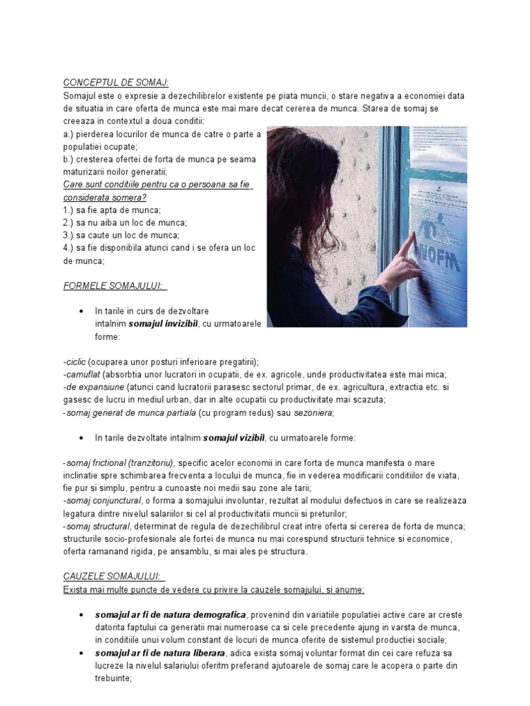 Conceptul de Somaj | PDF