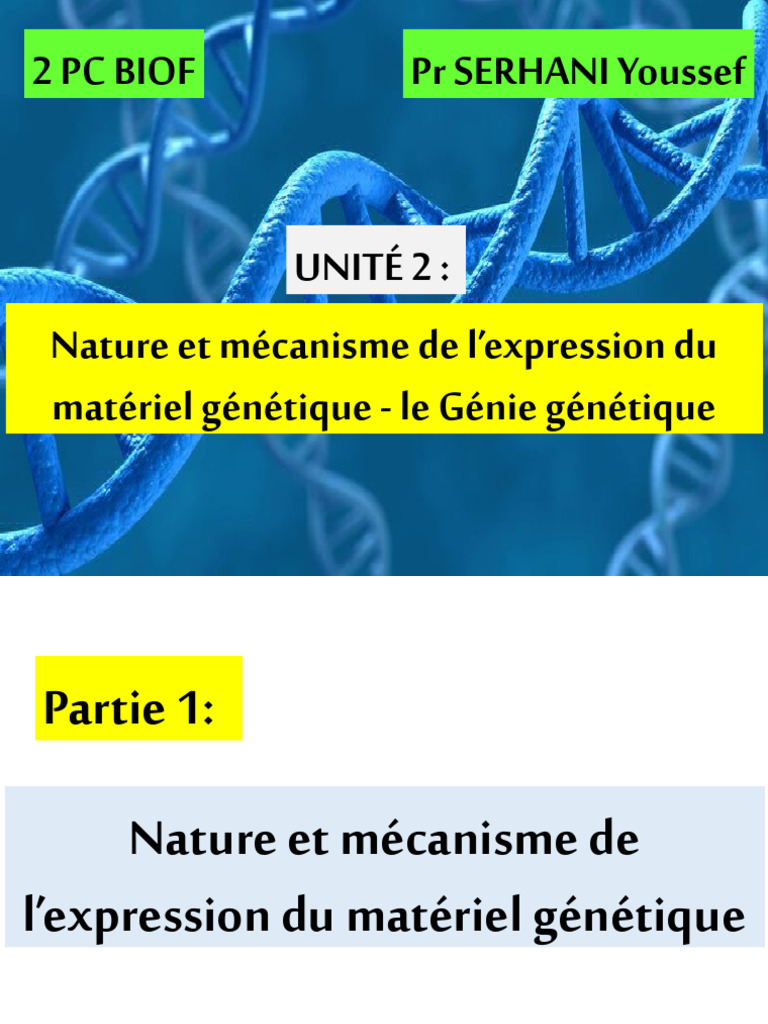 Mécanismes de l'expression génétique | PDF | Chromosome | Mitose