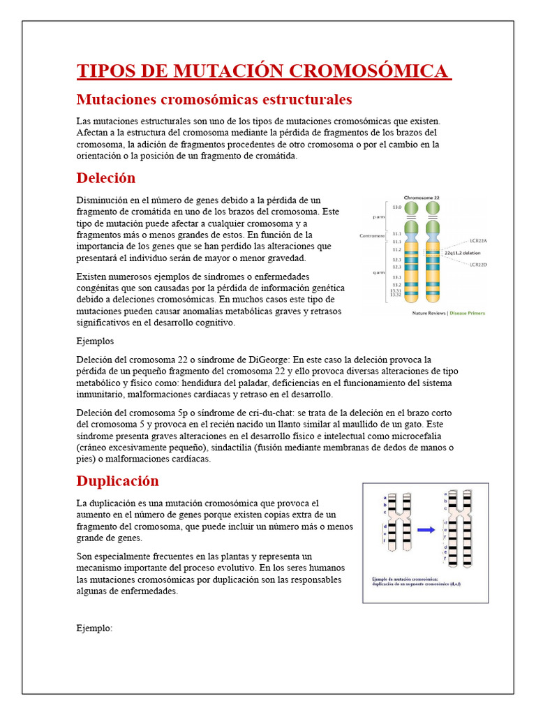 Tipos de Mutaciones Cromosomicas | PDF | Mutación | Genética
