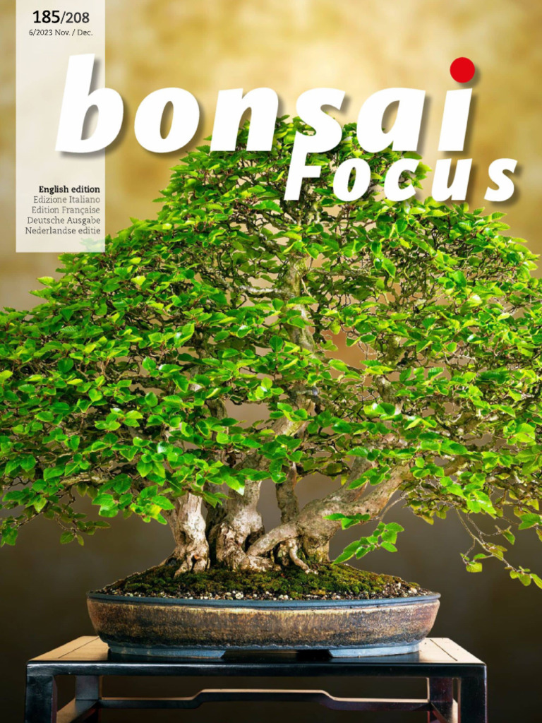 Bonsai Focus EN - 11 12 2023 | PDF | Bonsai | Trees