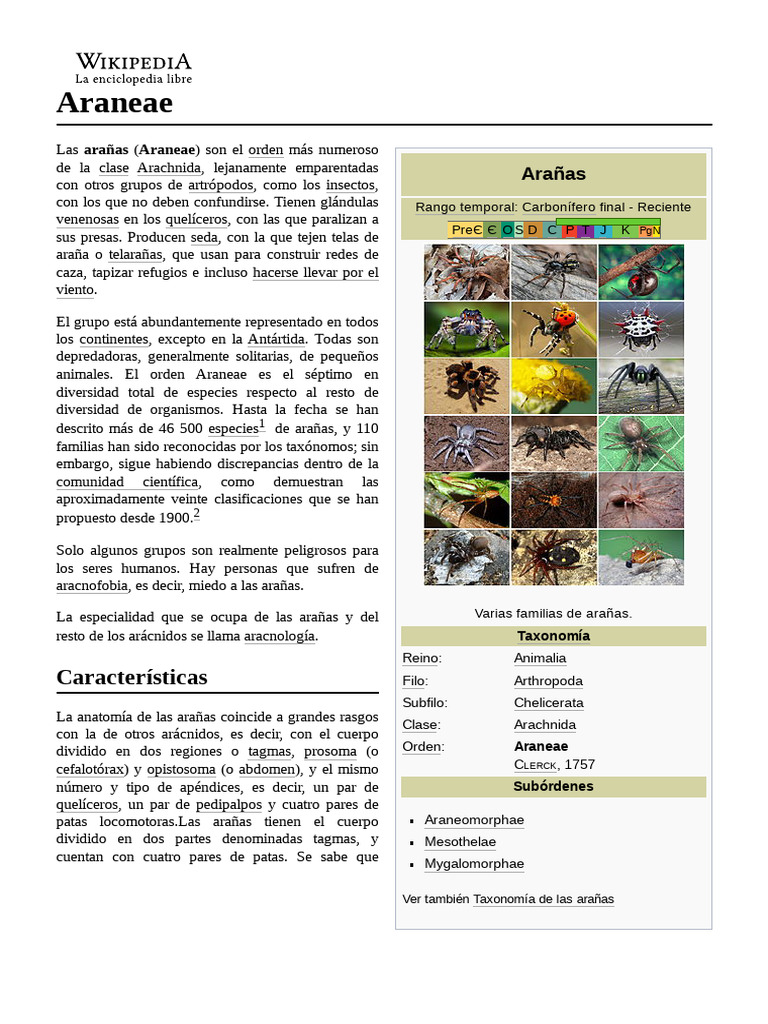 Araña | PDF | Araña | Artrópodos