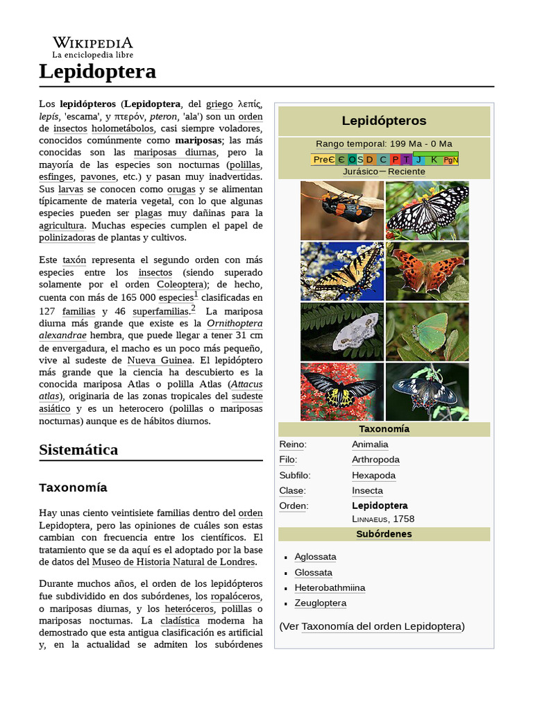 Mariposa | PDF | Lepidópteros | Insectos