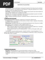 Ankylostomose : Épidémiologie et Diagnostic | PDF | Parasitologie ...