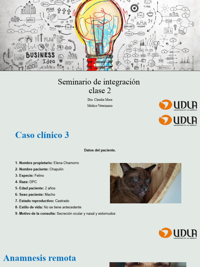 Seminario De Integración Clase 2 Pdf Examen Físico Medicina