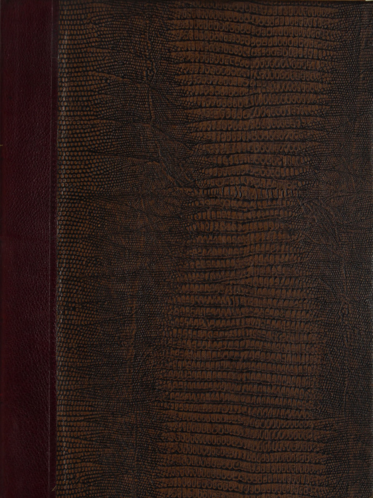 Iconografia Del General Fructuoso Rivera J M Fernandez Saldaña 1928 | PDF