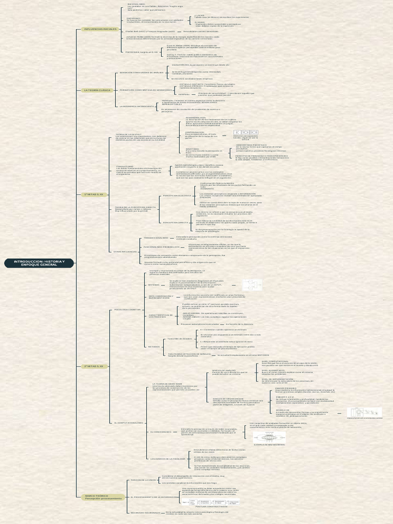 Todo Percepcion Esquematizado | PDF | Color | Percepción