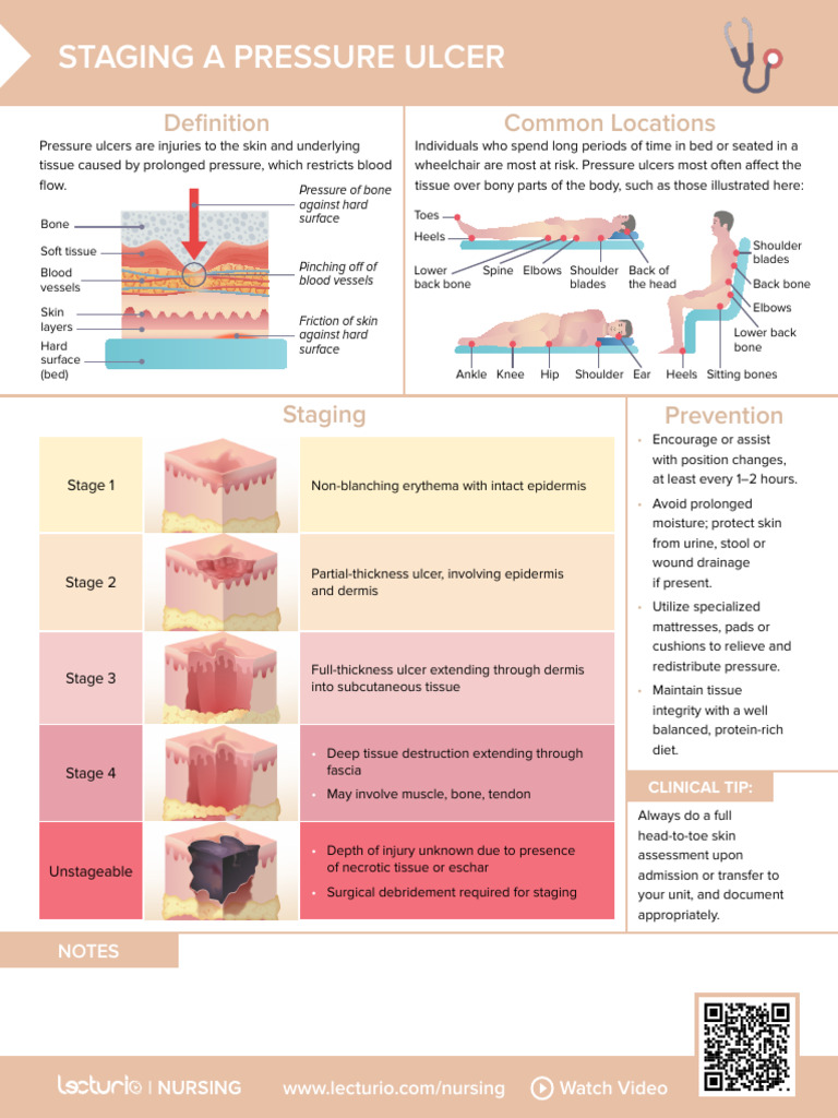 Staging A Pressure Ulcer | PDF | Skin | Clinical Medicine