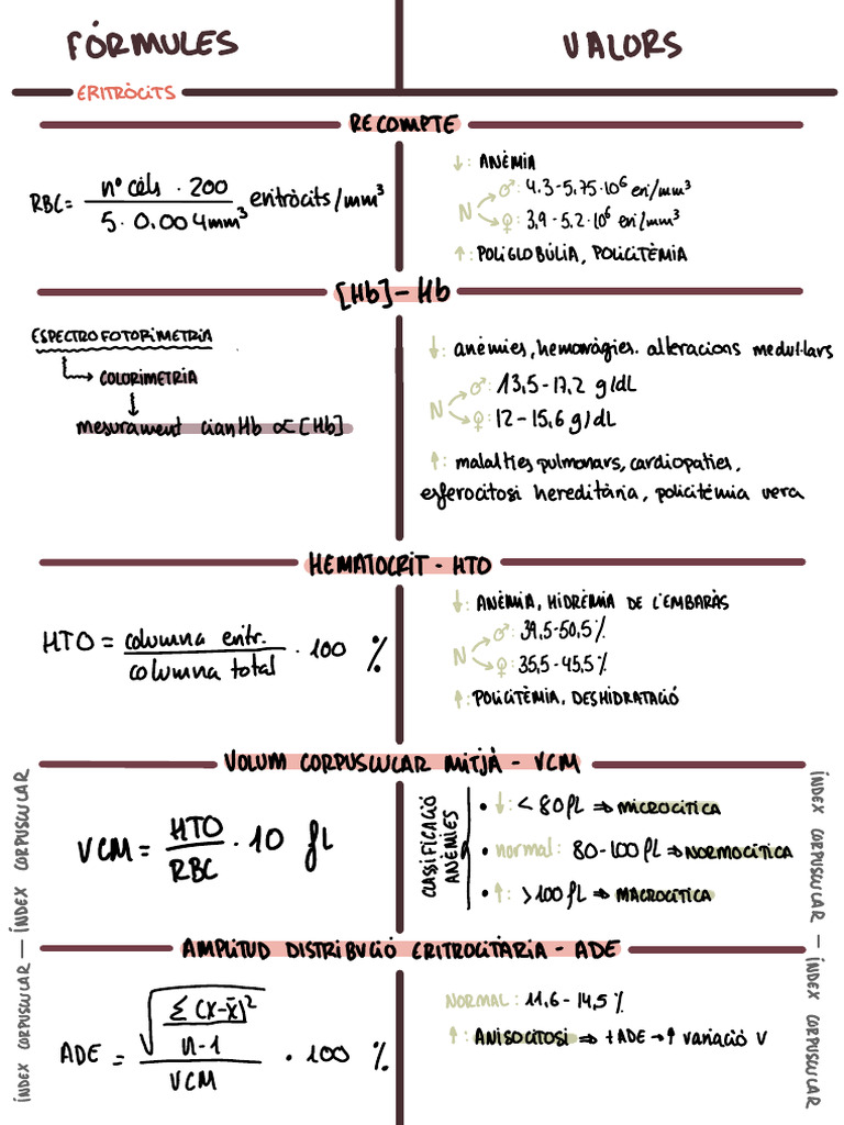 Hema t3 Formules I Valors | PDF