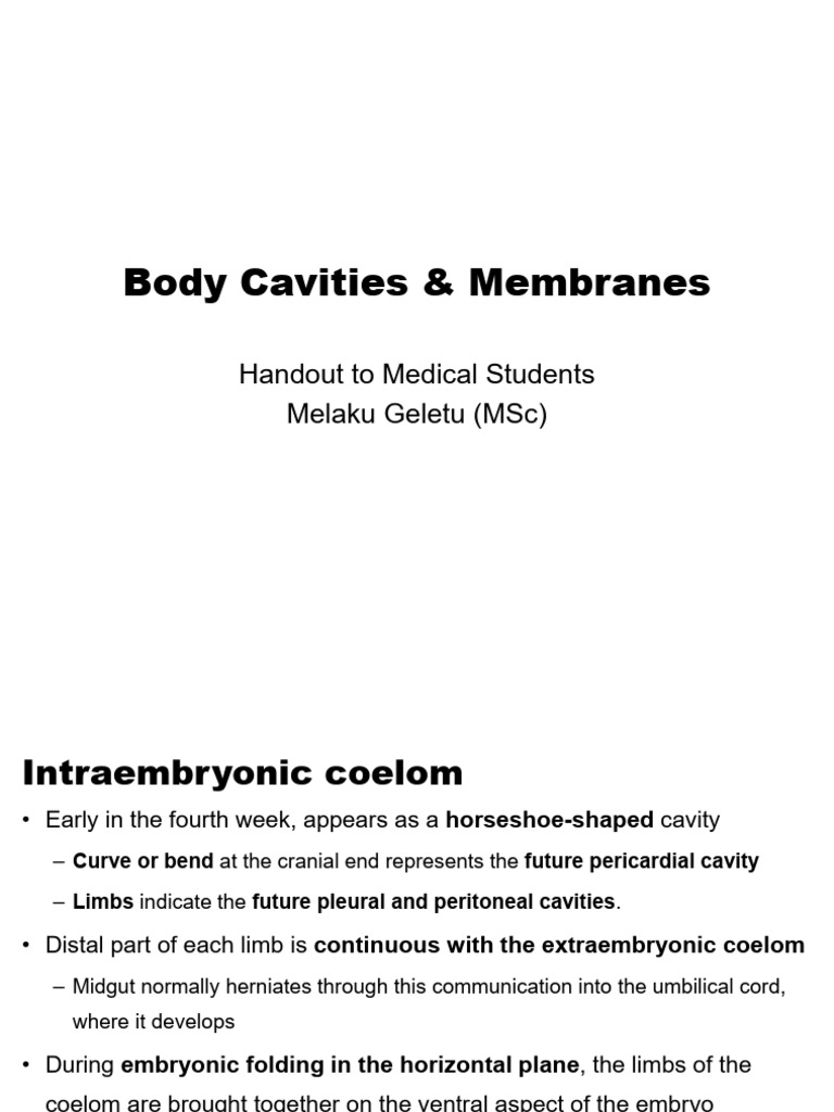 8 Body cavities & membranes | PDF | Peritoneum | Anatomy