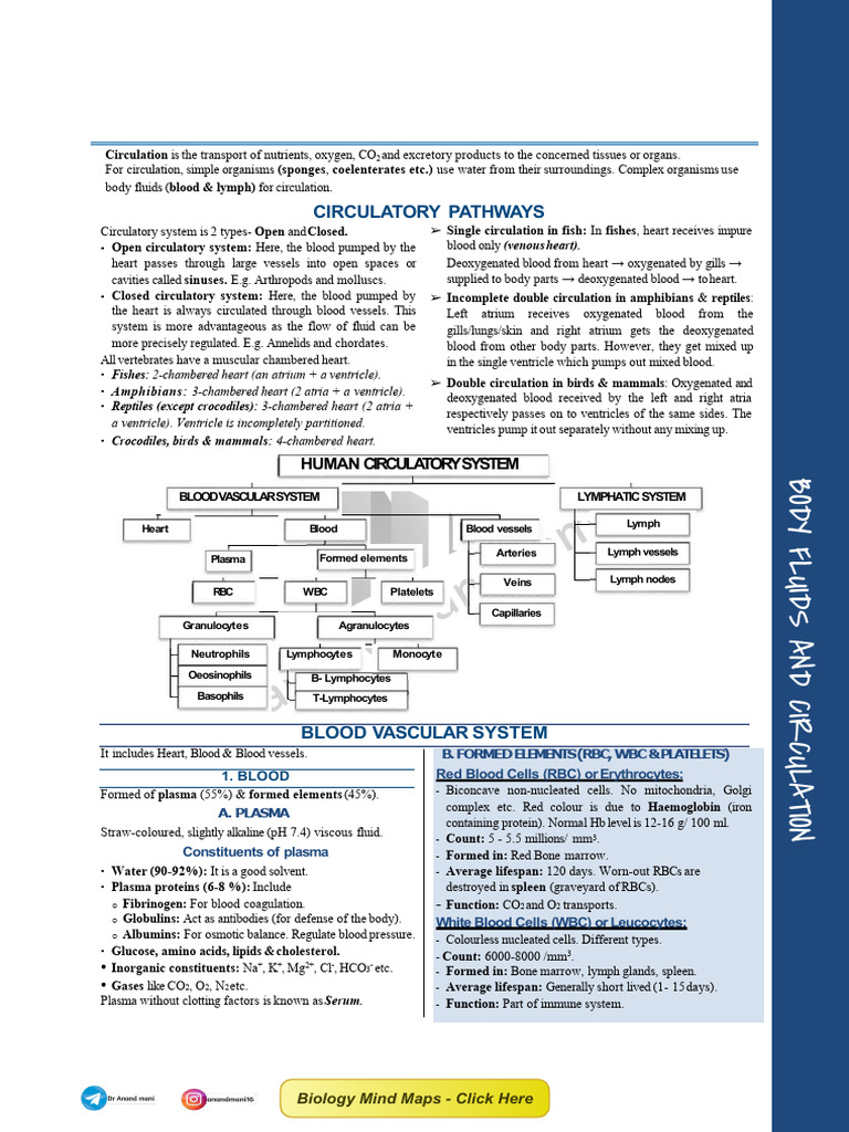 Body Fluids and Circulation | PDF | Atrium (Heart) | Heart