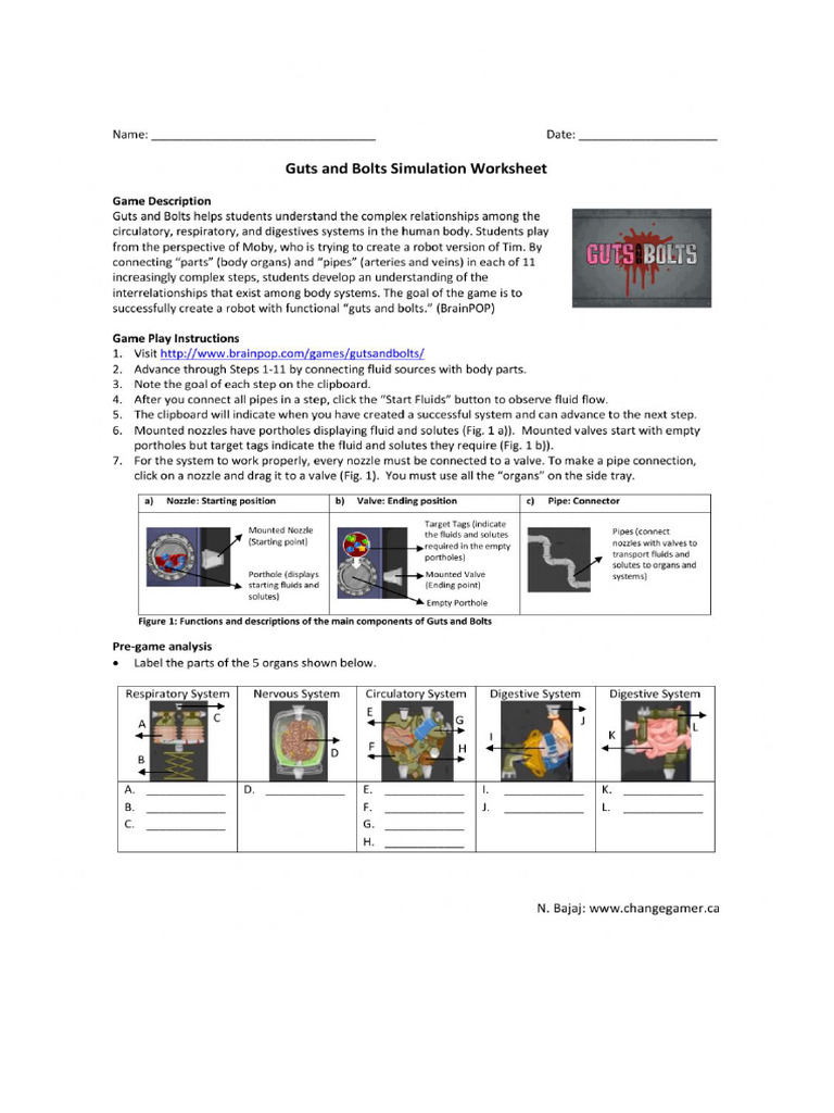 Guts and Bolts | PDF