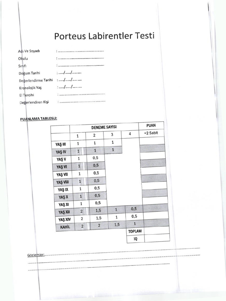 Dikkat Testi | PDF
