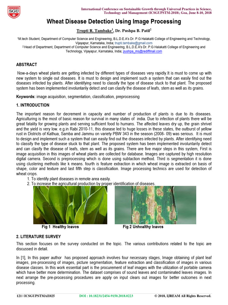 Wheat Disease Detection Using Image Processing Pdf Image
