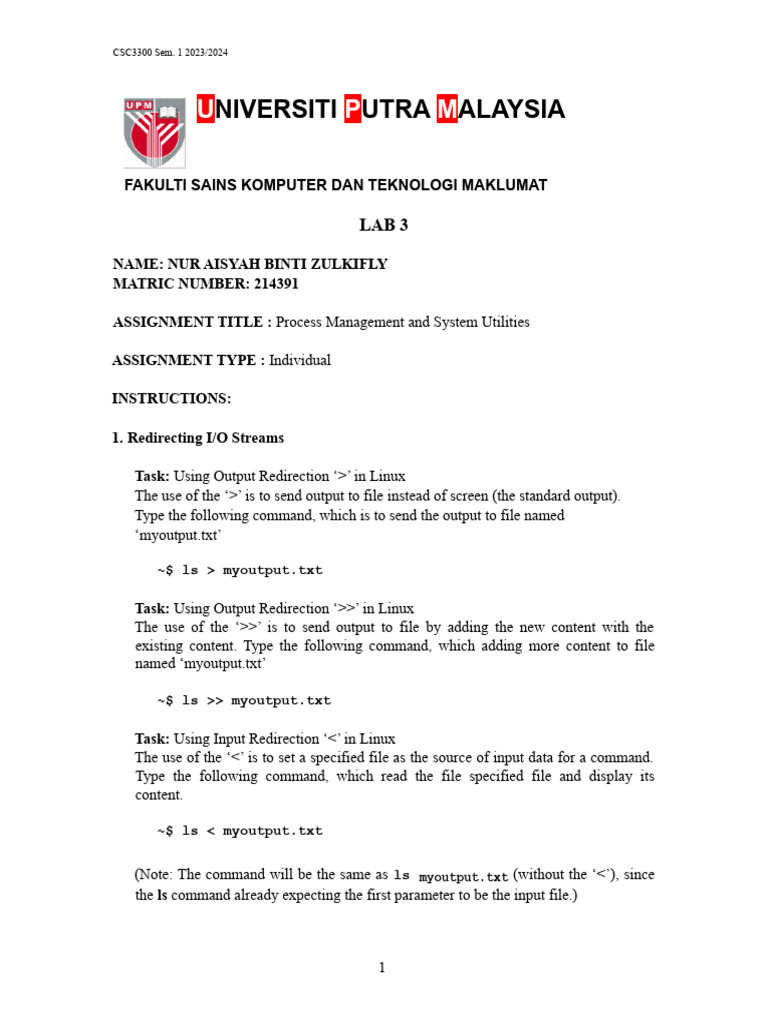 CSC3300 - Lab Activity 3 | PDF | Computer Engineering | Computing