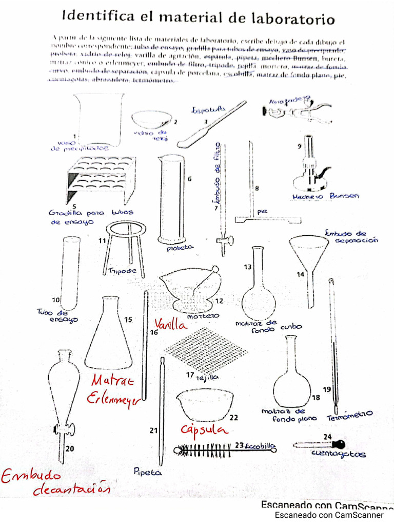 Material de Laboratorio | PDF
