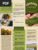 Recetas Variadas con Cushuro | PDF | Panes | Cocina de las Americas