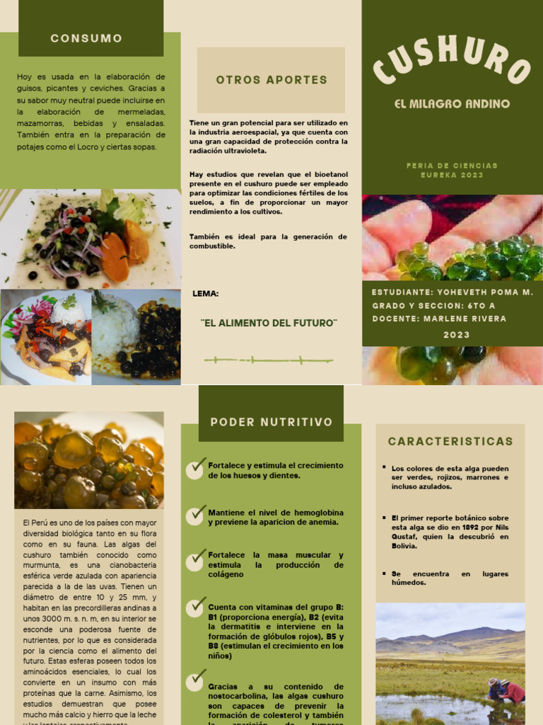 Cushuro Triptico | PDF | Algas | Alimentos