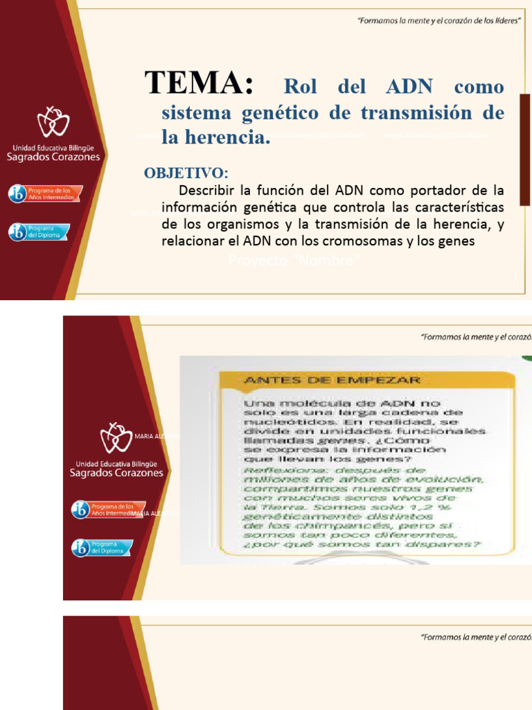 El ADN y su Rol en la Herencia | PDF | Adn | Genética