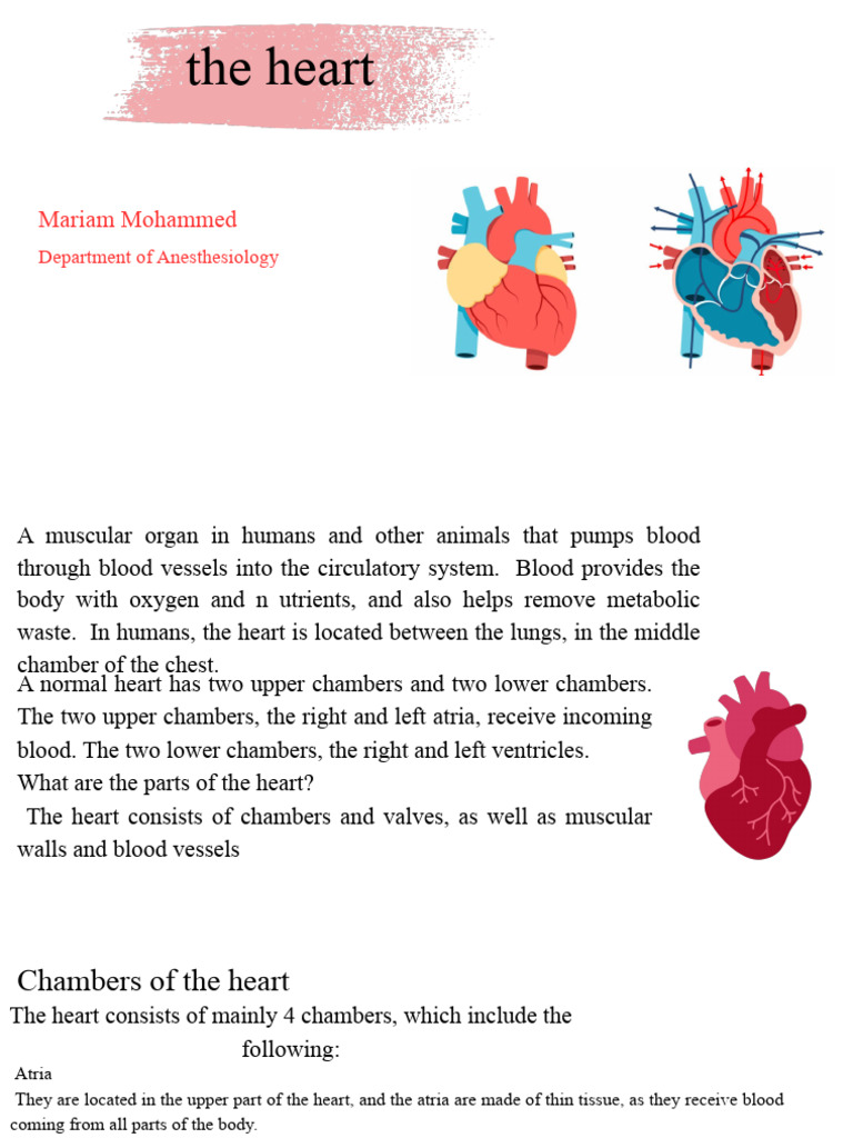 The Heart: Mariam Mohammed | PDF | Heart | Atrium (Heart)