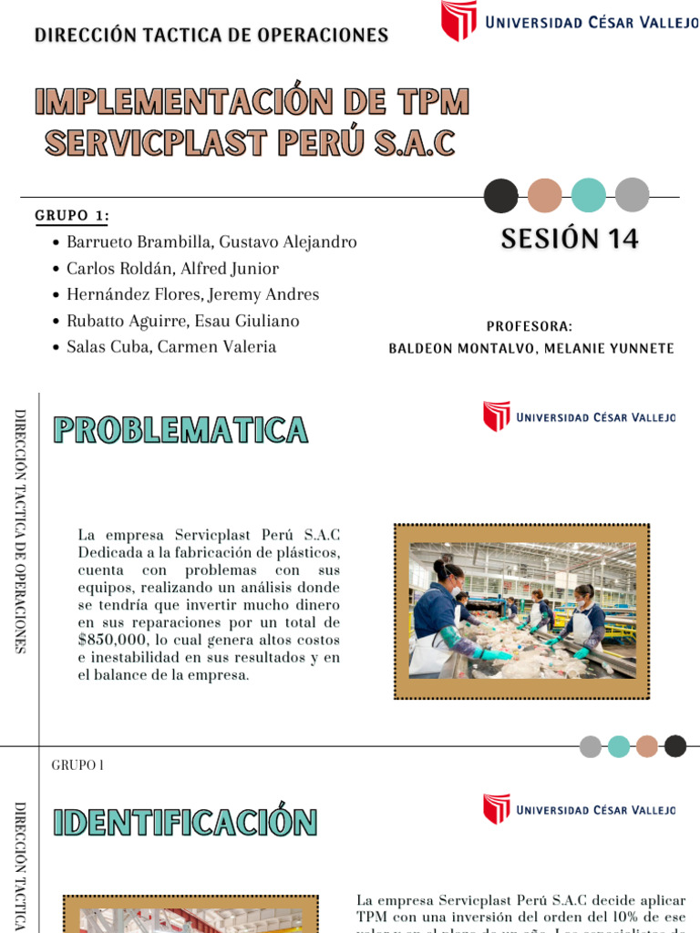 Implementación de TPM - GRUPO 1 | PDF | Business