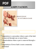 Osteomyoplastic Transtibial Amputation The Ertl.6 | PDF | Amputation ...