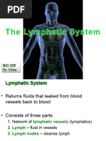 The Lymphatic System Ppt1 | PDF | Lymphatic System | Lymph