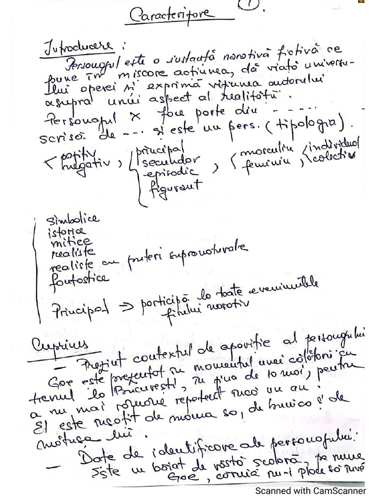 Caracterizare Clasa 6 | PDF