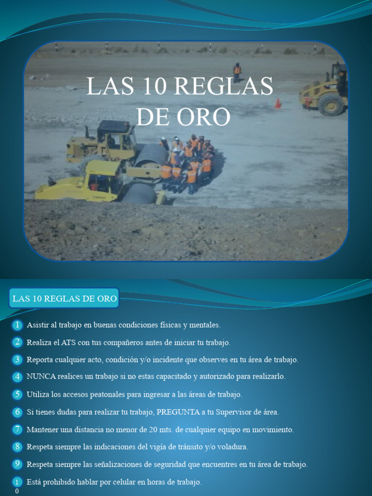 Las 10 Reglas de Oro | PDF