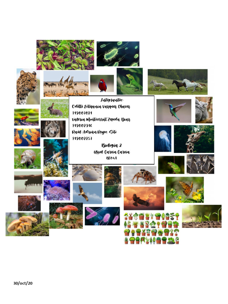 Practica 1 Biologia II | PDF | Taxón | Organismos