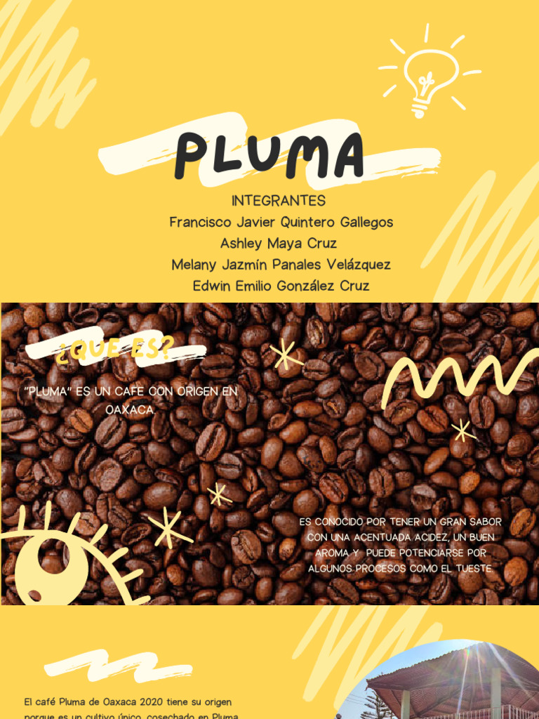 GDI10 - Denominación de Origen - Pluma | PDF | café | Entorno natural