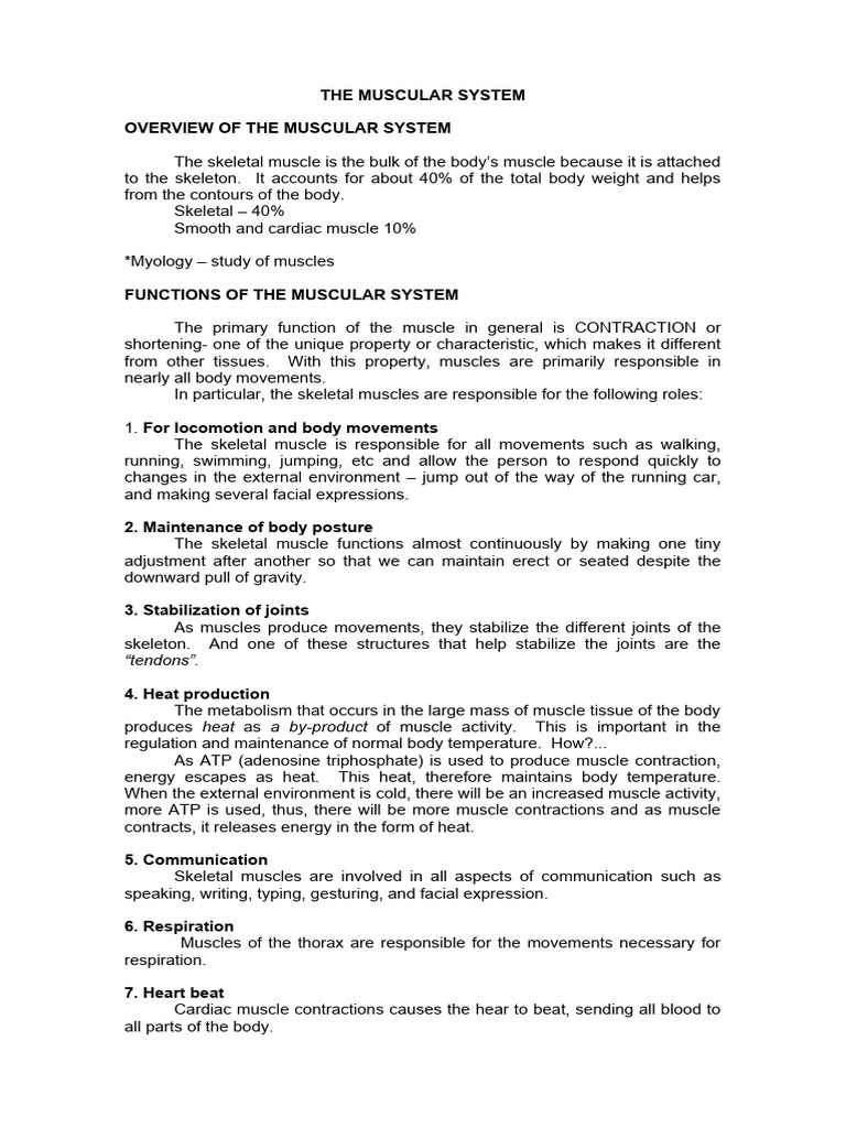 Muscular System Reading Materials | PDF | Muscle Contraction | Skeletal ...