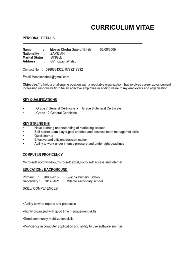 Moses Choba CV: Skills & Experience | PDF | Data | Zambia