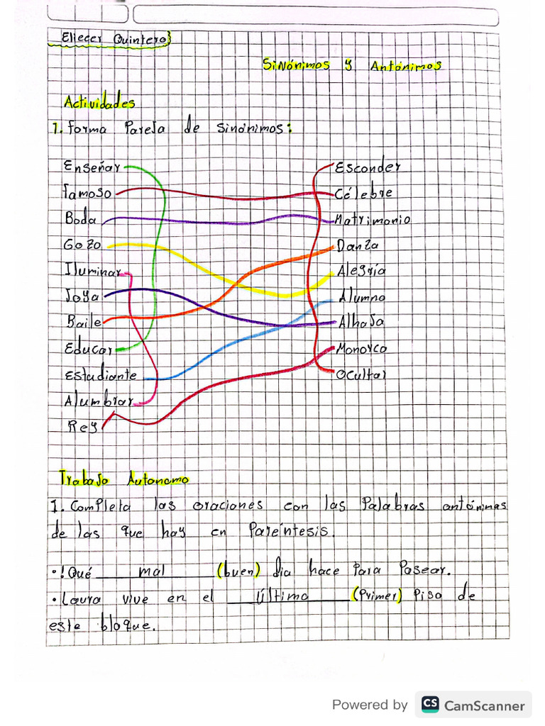 Sinónimos y Antónimos | PDF