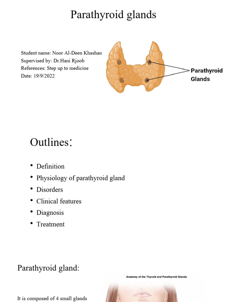 Parathyroid Glands | PDF | Parathyroid Gland | Causes Of Death