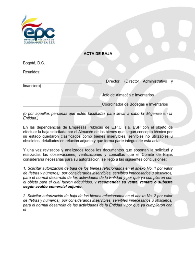 Modelo Acta de Baja | PDF