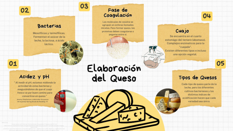 Elaboración Del Queso | PDF | Queso | Leche