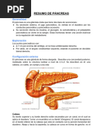 Anatomía de los conductos pancreáticos | PDF | Páncreas | Digestión