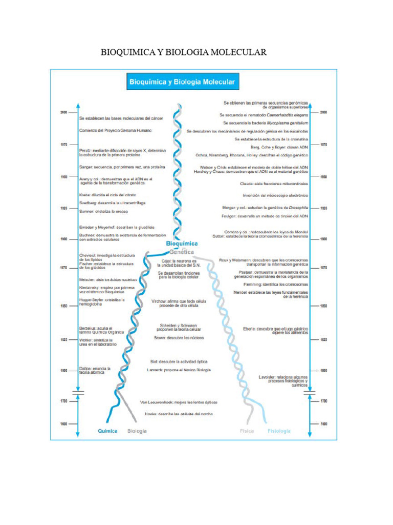 BIOQUIMICA Y BIOLOGIA MOLECULAR | PDF | Bioquímica | Química