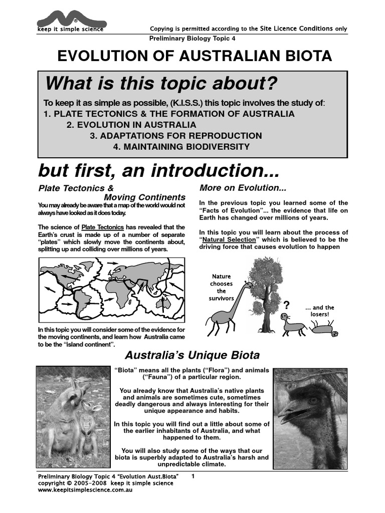 Bio4.Evolution Aust BiotaU | PDF | Plate Tectonics | Earth