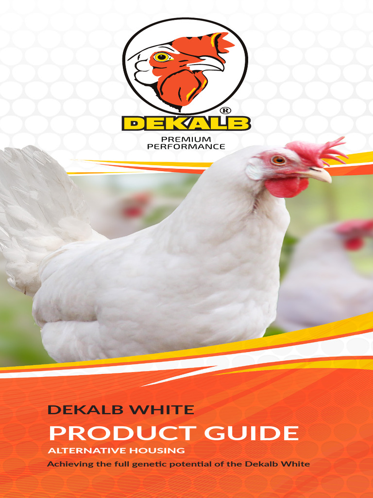 Dekalb White Cs Alternative Housing | PDF | Poultry Farming