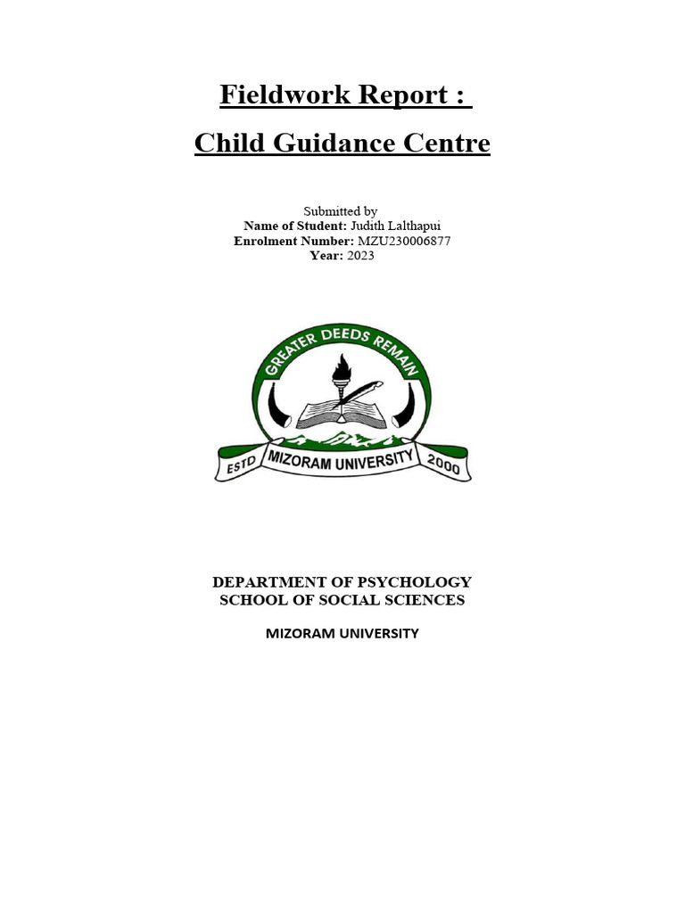 Fieldwork Report CGC | PDF | Psychotherapy | Clinical Psychology