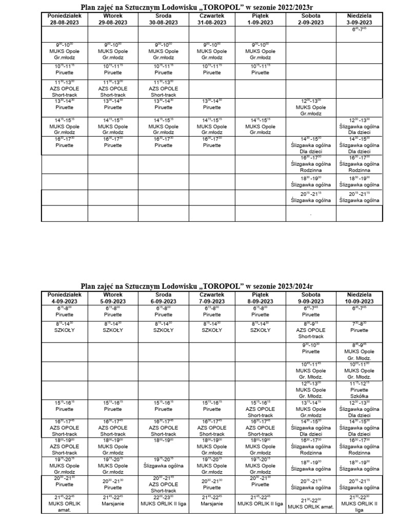 Plan Zajec Sztuczne Lodowisko 1 1 Pdf 