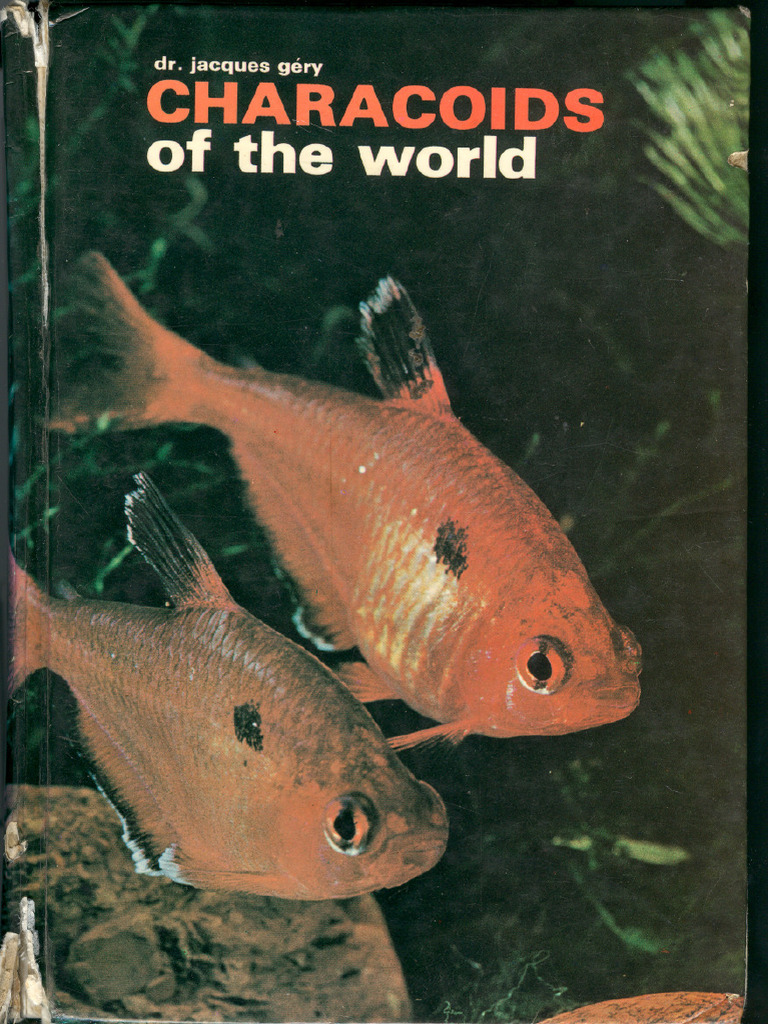 Characoids of de World | PDF | Aquarium | Fish