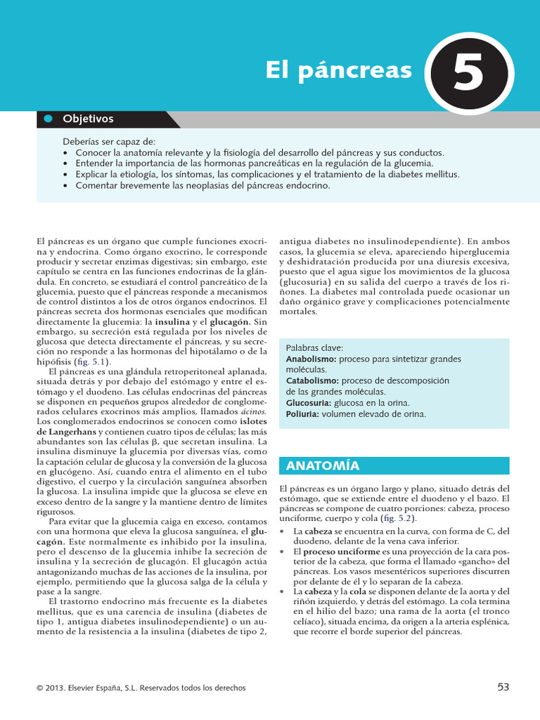 Funciones endocrinas del páncreas | PDF | Páncreas | Insulina