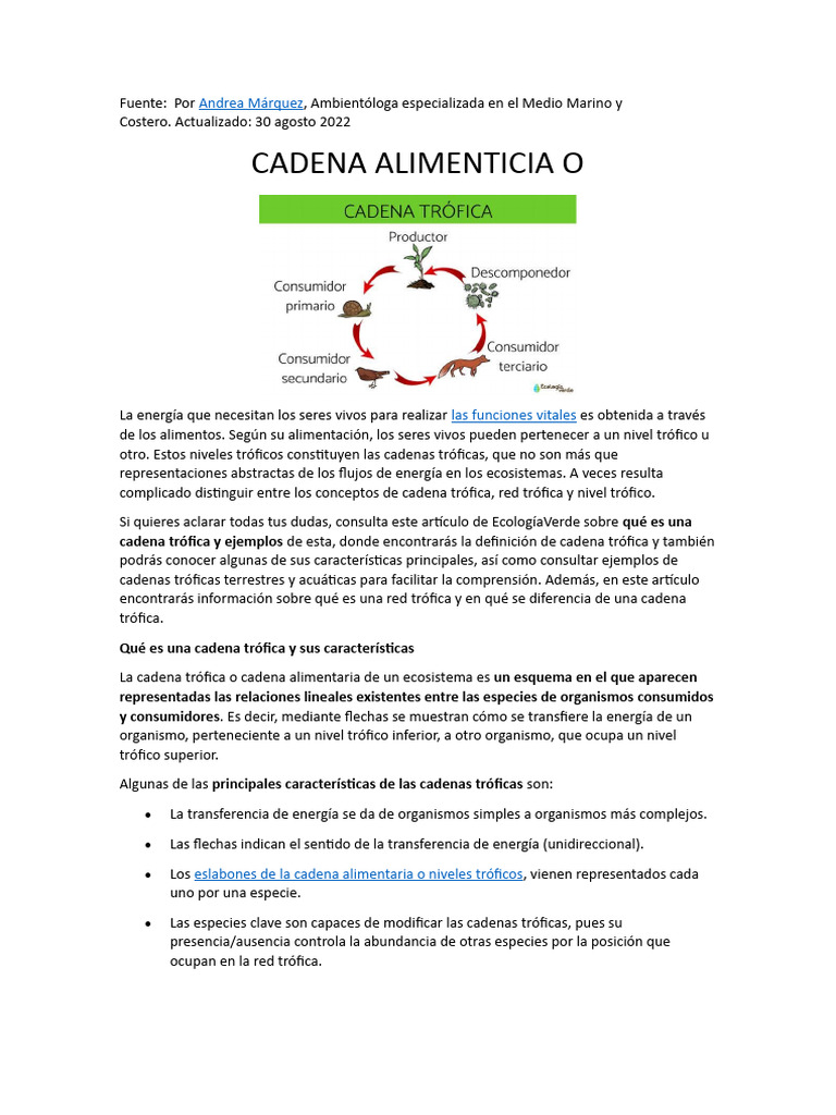 Cadena Alimenticia | PDF | Red alimentaria | Teoría de sistemas