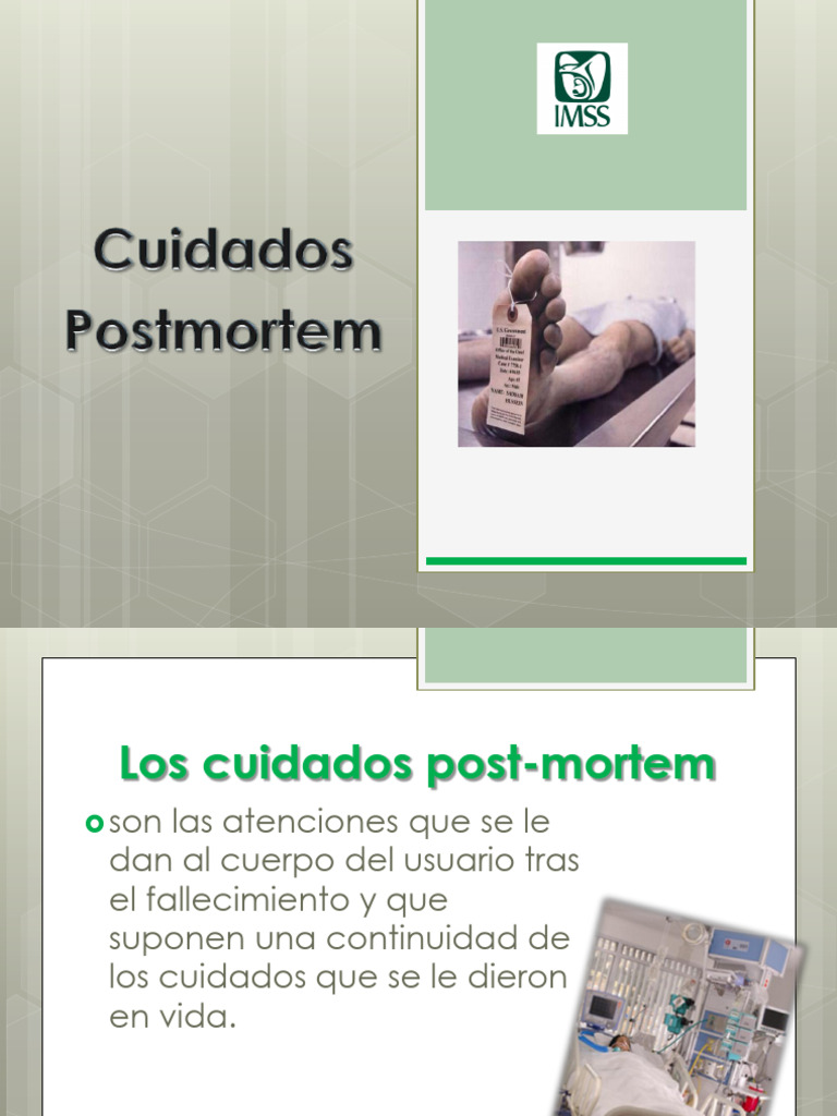 Cuidados Postmortem Pdf Cadáver Medicina