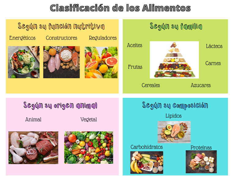 Clasificación de Alimentos por Origen y Composición | PDF