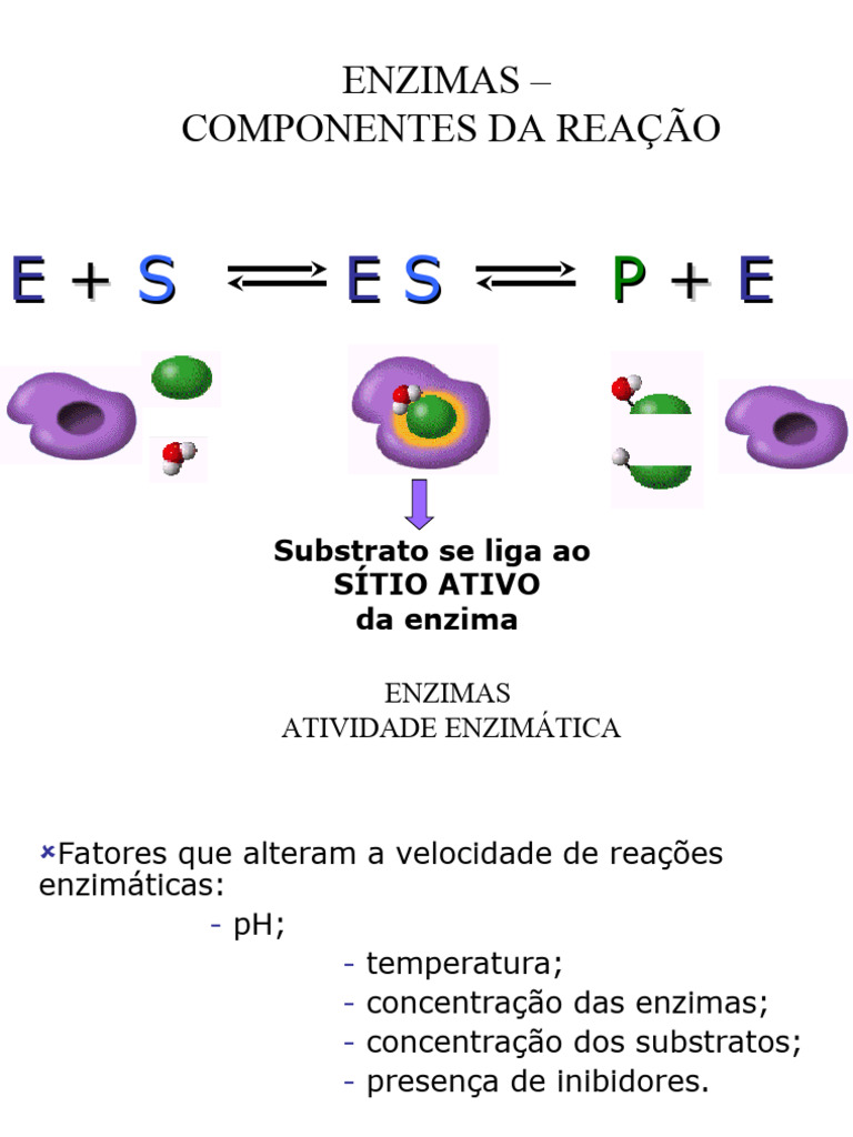 Fundamentos de Enzimas e Cinética | PDF | Enzima | Inibidor de enzimas