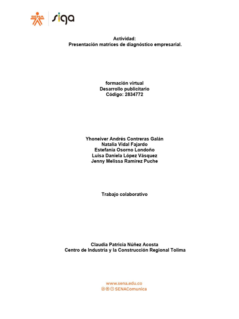 Presentación Matrices De Diagnóstico Empresarial Pdf Marketing